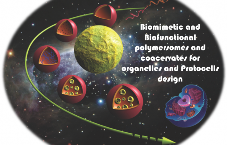 Design of artificial organelles and cells - LCPO - Organic Polymer ...
