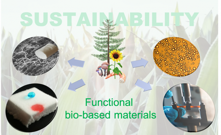 Functional bio-based Materials and Sustainability - LCPO - Organic ...