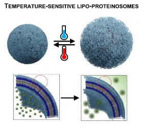LCPO - Organic Polymer Chemistry Laboratory