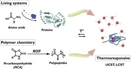 Sébastien Lecommandoux - LCPO - Organic Polymer Chemistry Laboratory